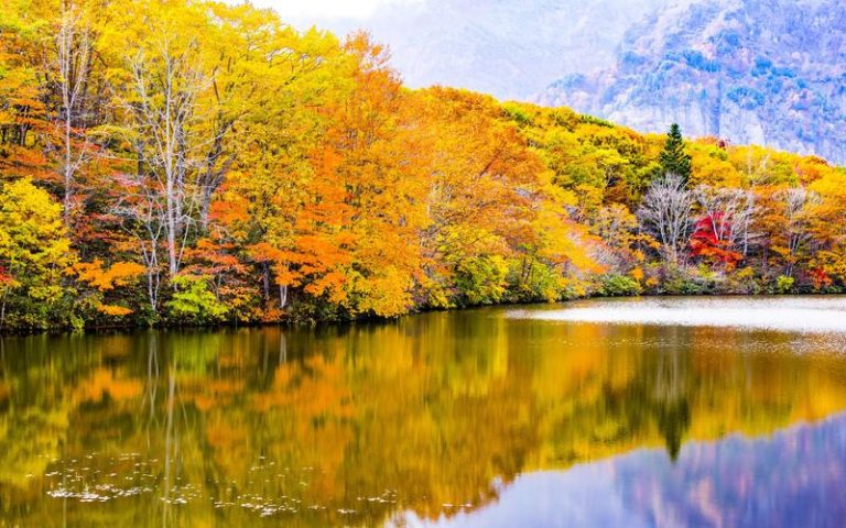 Understanding the Mobile Phones HS Code: A Guide for Importers ...