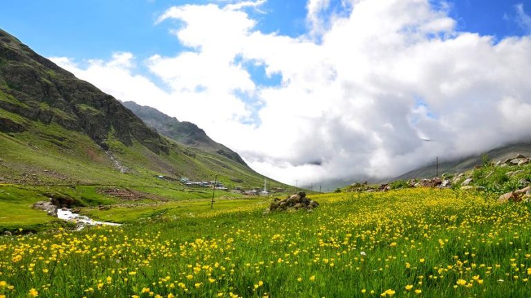 Understanding the Mobile Phones HS Code: A Guide for Importers ...