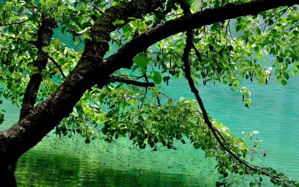 How OTIS Offender Tracking Information System Improves Corrections ...