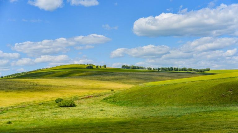 Understanding the National Health Law Program: A Comprehensive Guide ...