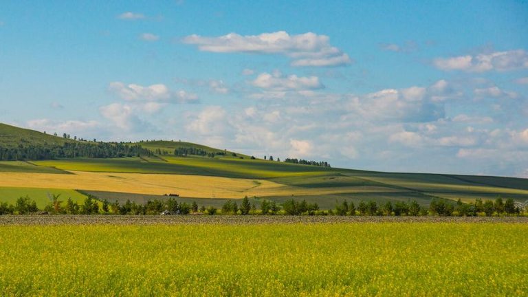 What is airline ticket code 006 and why is it important? - Insight Tribune