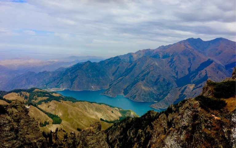 The Importance of Barrel Stamps: What Information is Printed and Why ...