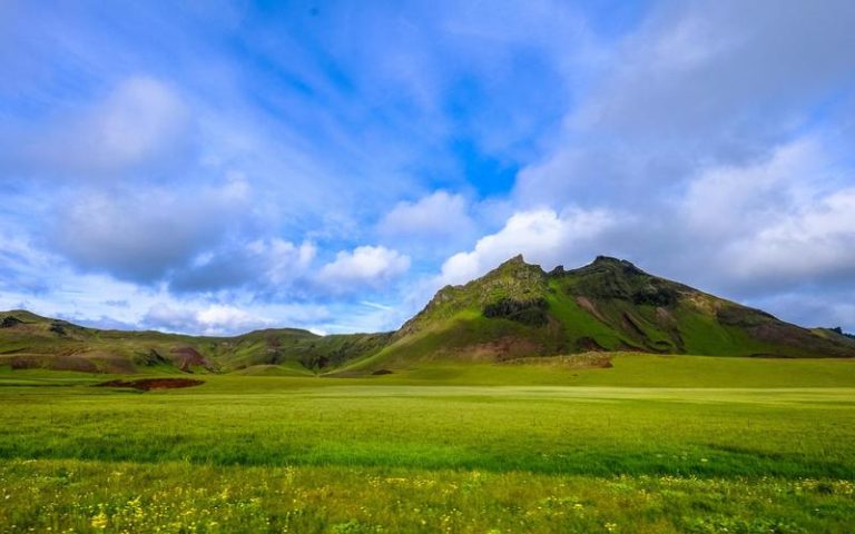 Understanding Technical Acumen: What It Is and Why It Matters - Insight ...