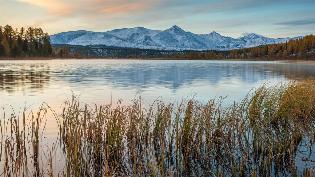 Discovering the Six Dimensions of Wellness: Examples That Will Inspire ...