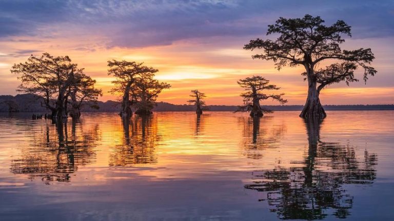 The Rise and Fall of Xanga: A Look into the History of this Iconic ...