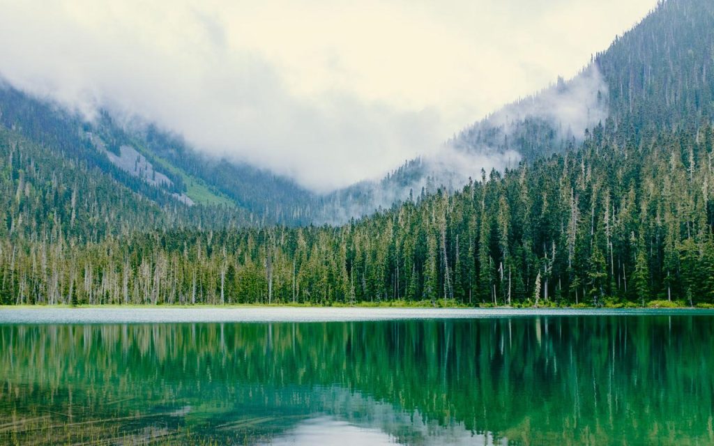 10 Effective Examples of Clincher Sentences for Informative Speeches ...