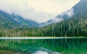 10 Effective Examples of Clincher Sentences for Informative Speeches ...