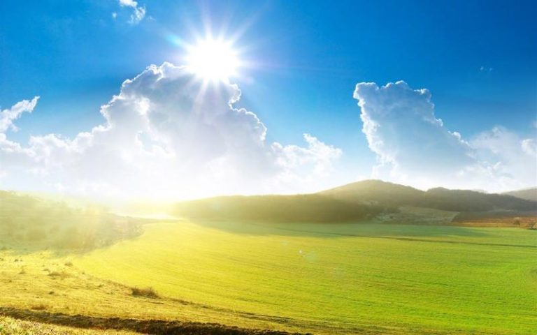 The Expertise vs Expertize Debate: What’s the Difference and Why Does ...