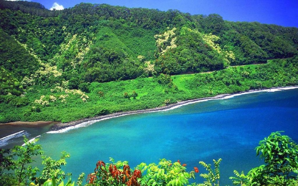 Understanding Cultural Diffusion: Its Causes, Effects, and Examples ...