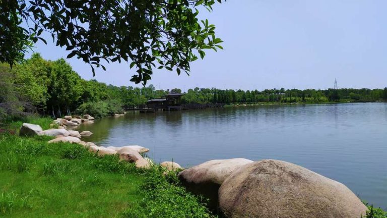 AVHE.Health.Mil: Understanding the Benefits and Limitations of the ...