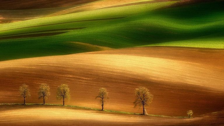 Understanding the 6 Levels of Insight in Psychiatry: A Comprehensive ...