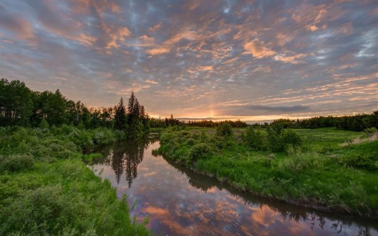 Understanding the 6 Levels of Insight in Psychiatry: A Comprehensive ...