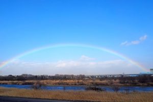 Mastering Shipley’s 96-Step Business Development Process: A ...