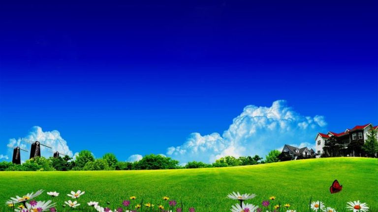 Understanding the 6 Levels of Insight in Psychiatry: A Comprehensive ...