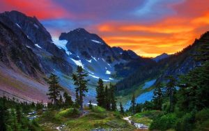 The Ultimate Guide to Health-e-Arizona Plus Login: How to Access and ...