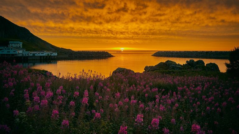 Exploring the deep-rooted Polish cultural values that shape society ...