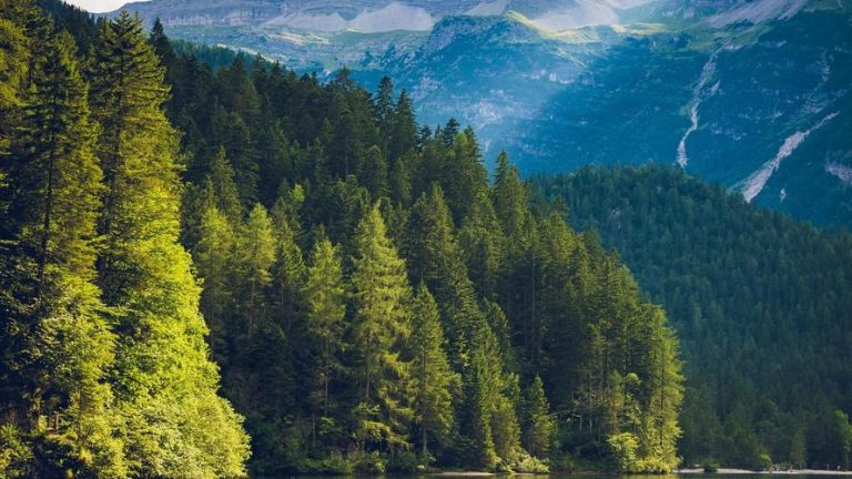 10 Wearable Technology Examples and Their Uses in Everyday Life ...