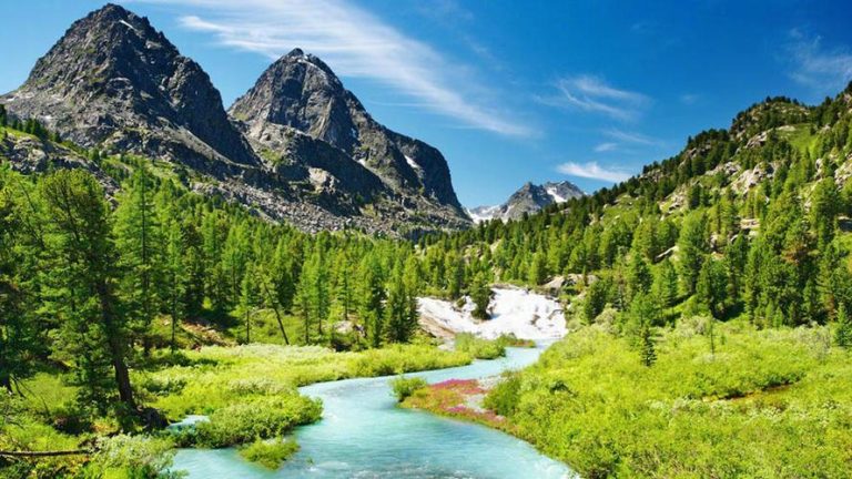 Understanding Cognition: What Does Grossly Intact Mean? - Insight Tribune