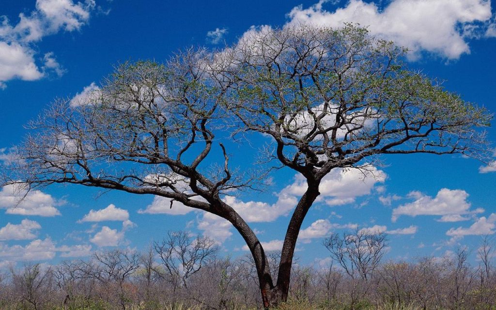 Understanding the NAICS Code for Business Consulting: A Beginner’s ...