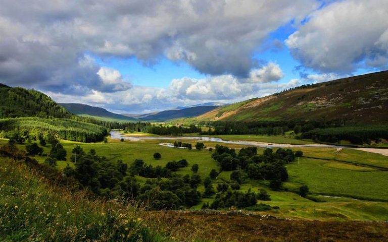 Understanding the Familiarity Scale Likert: A Complete Guide - Insight ...