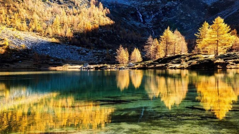 Understanding the Mobile Phones HS Code: A Guide for Importers ...